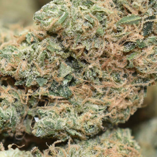 Online Dispensary Canada | Buy Weed Online | Express Ganja Dispensary