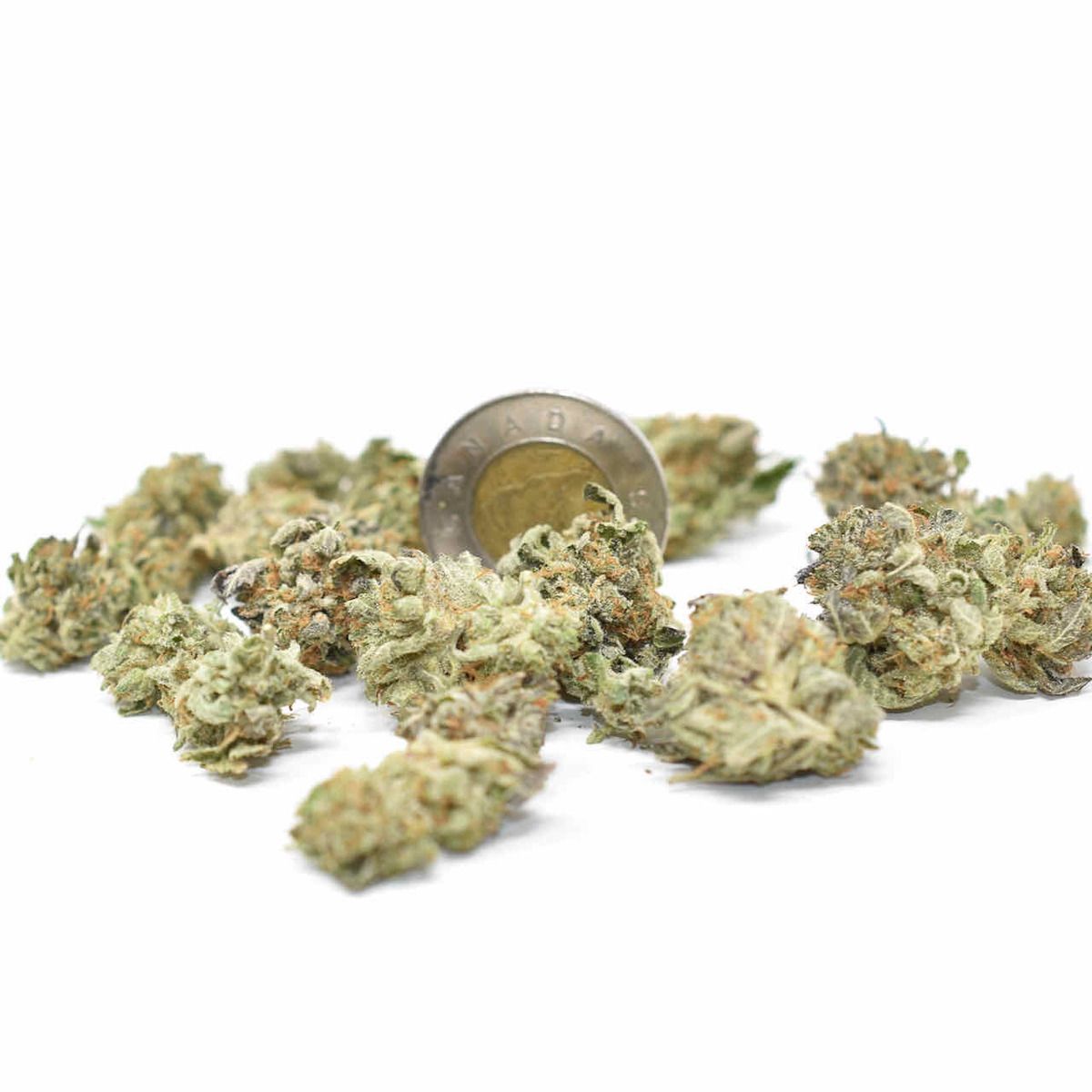 Small Buds Archives - Top Shelf Express