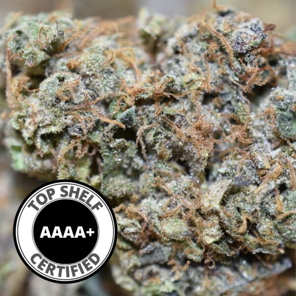 Notorious THC - Top Shelf Express