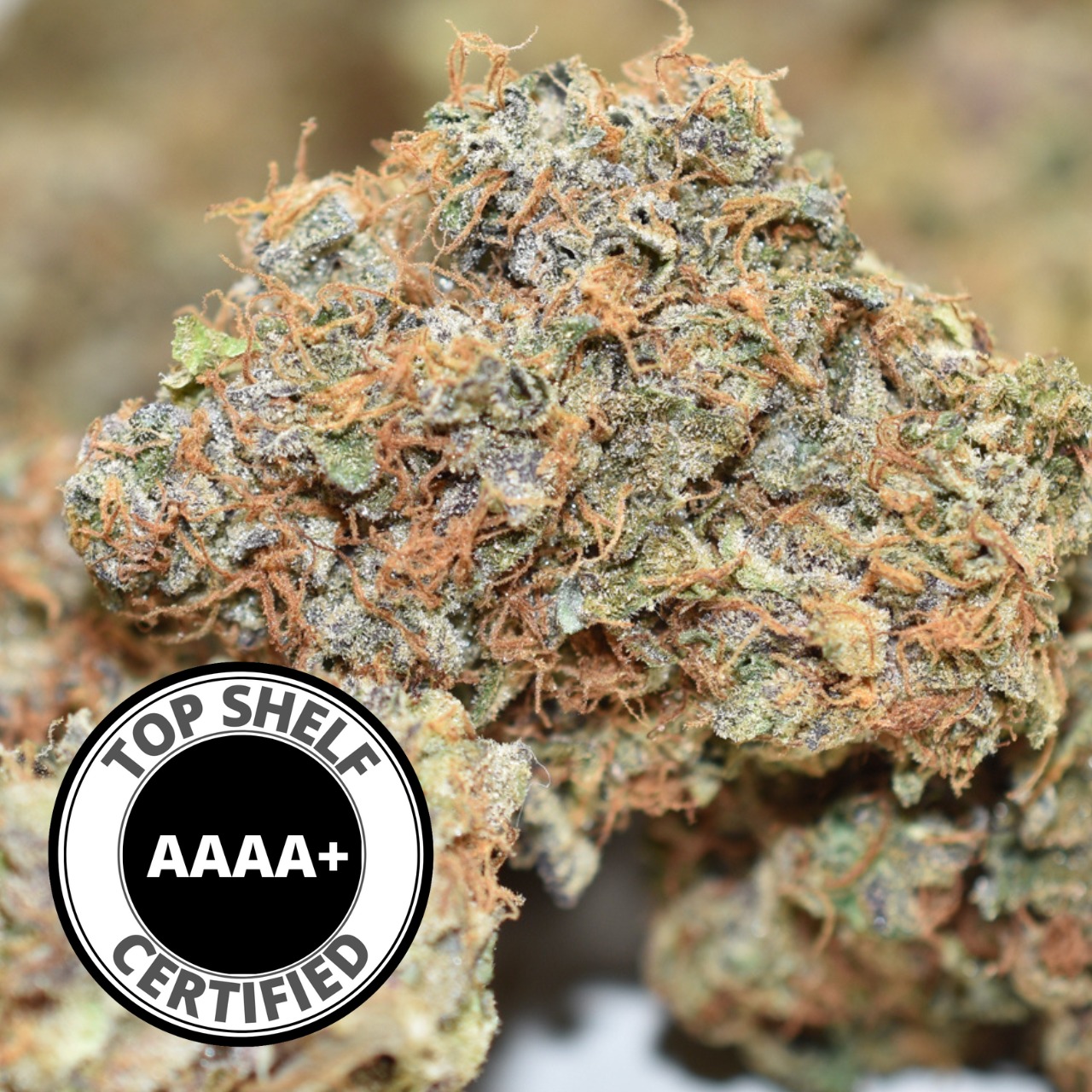 Notorious THC - Top Shelf Express