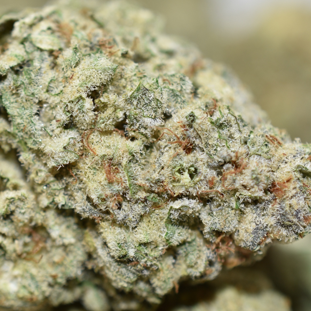 Do Si Dos - Top Shelf Express