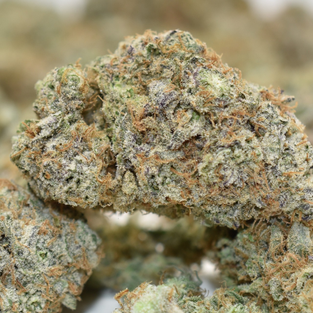 Biscotti - Top Shelf Express