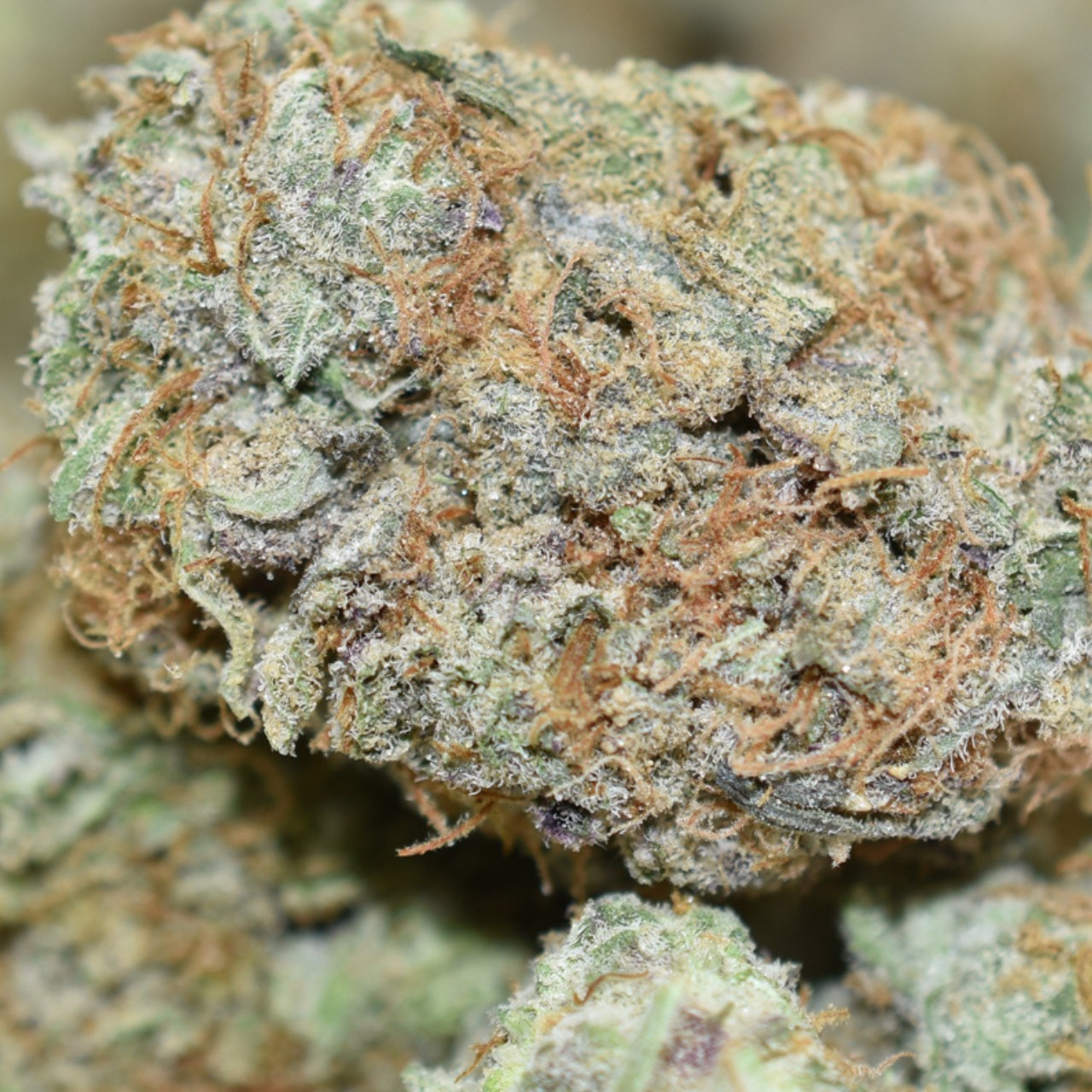 Biscotti - Top Shelf Express