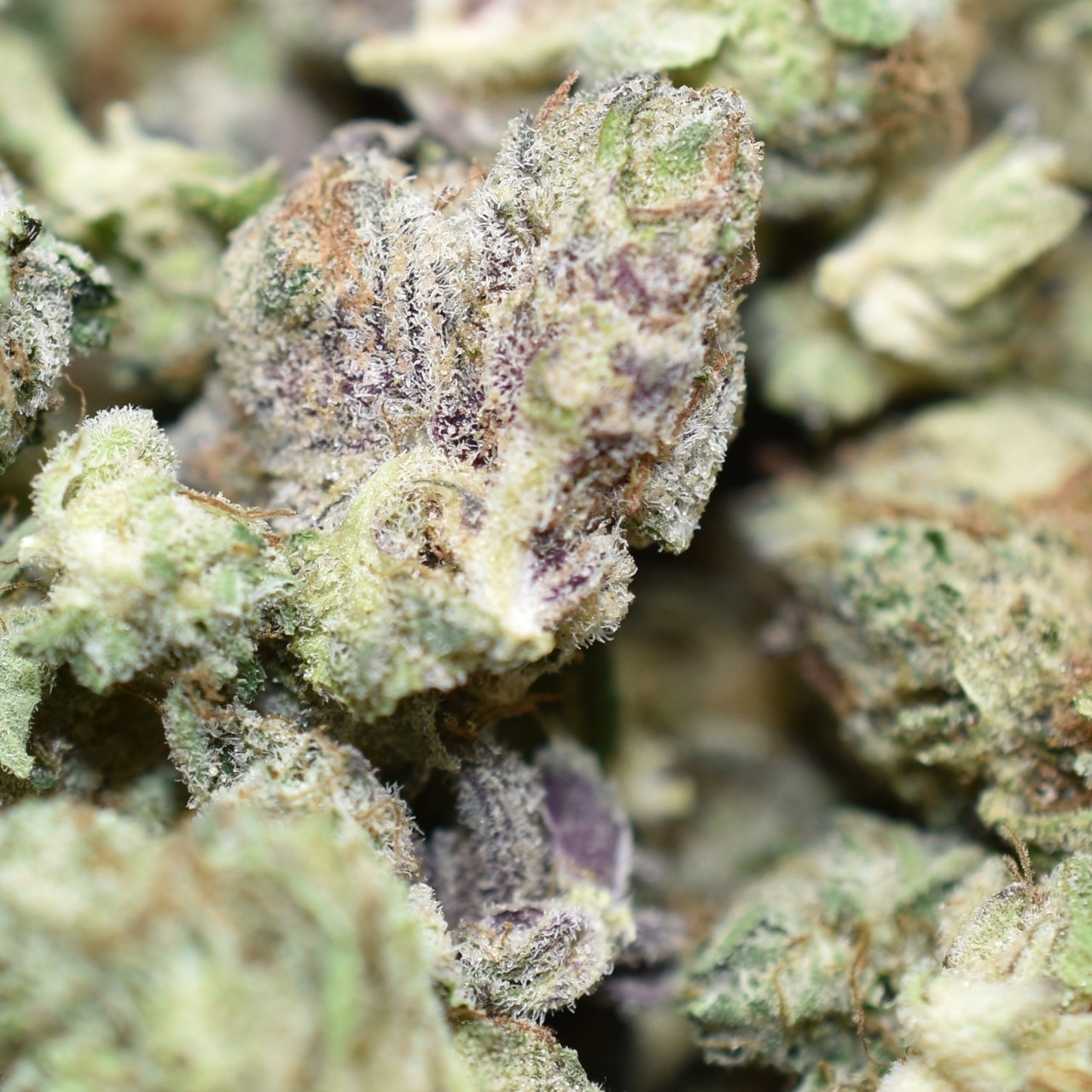 Granddaddy Purple Smalls - Top Shelf Express